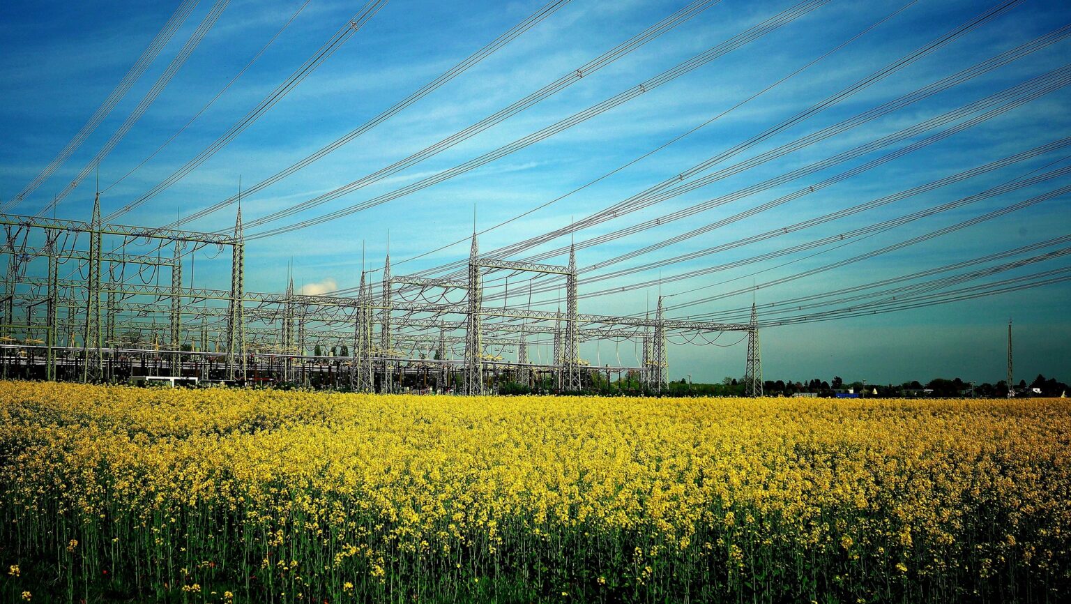 Electricity Option Chain - NSE - MCX - Electricity F&O